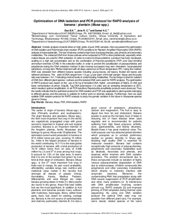 Pdf Optimization Of Dna Isolation And Pcr Protocol For Rapd Analysis Of Banana Plantain