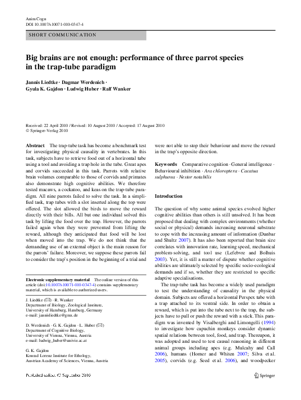 (PDF) Big brains are not enough: performance of three parrot species in ...