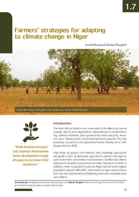 (PDF) Farmers strategies for adapting to climate change in Niger