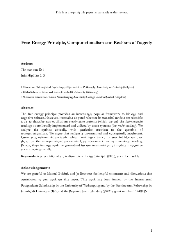 (PDF) Free-Energy Principle, Computationalism and Realism: a Tragedy