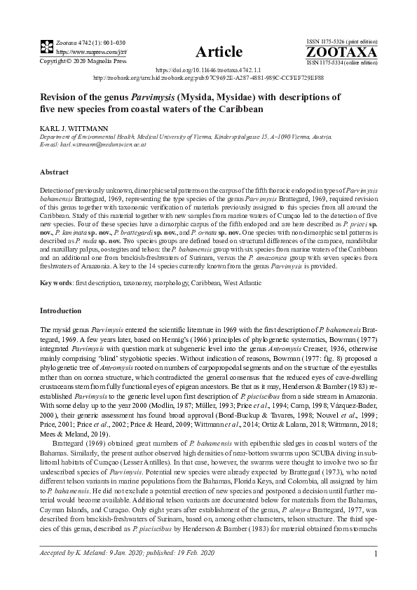 (PDF) Revision of the genus Parvimysis (Mysida, Mysidae) with ...