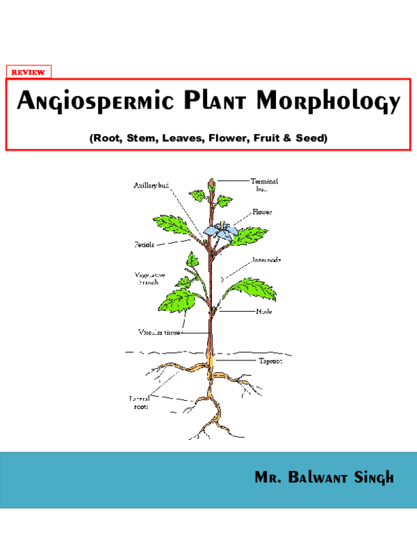 (PDF) Angiospermic Plant Morphology