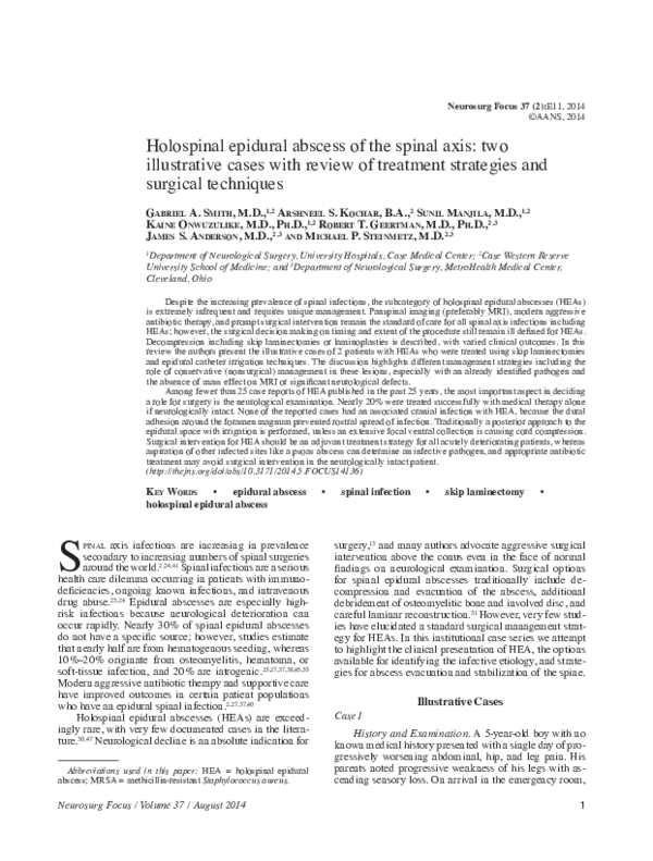 (PDF) Holospinal epidural abscess of the spinal axis: two illustrative ...