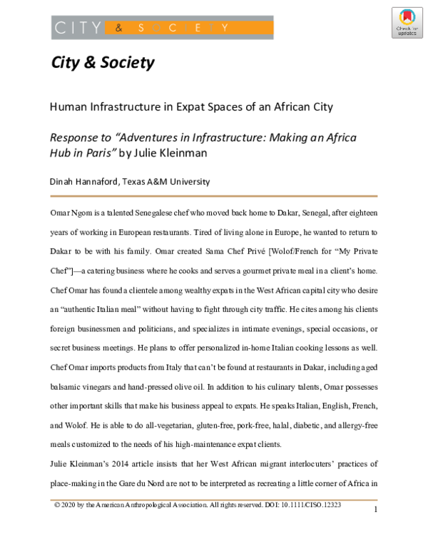(PDF) Human Infrastructure in Expat Spaces of an African City