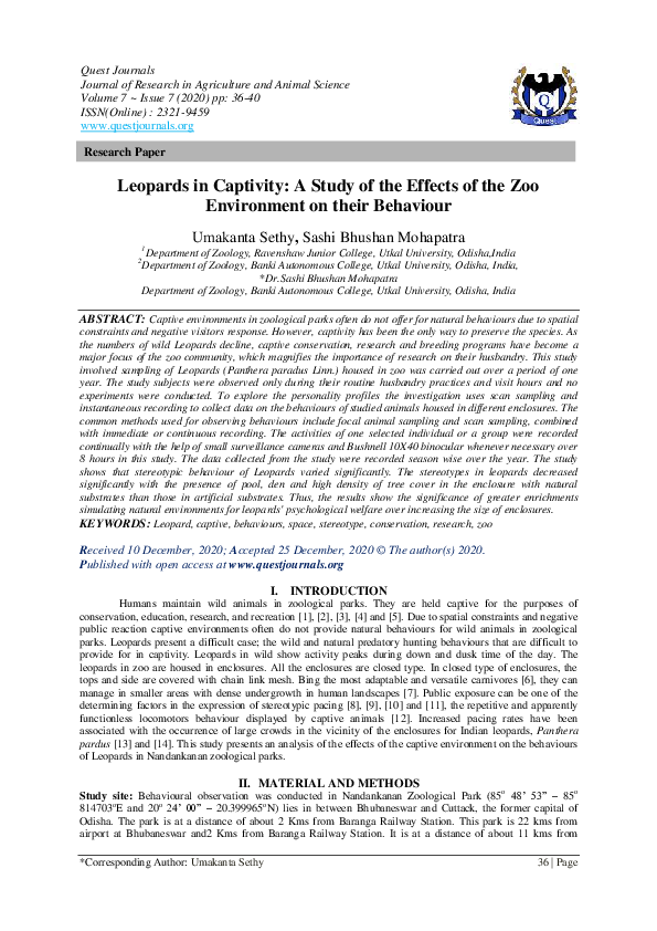 (PDF) Leopards in Captivity: A Study of the Effects of the Zoo Environment on their Behaviour