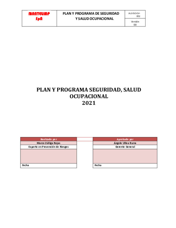 (DOC) PLAN Y PROGRAMA SEGURIDAD, SALUD OCUPACIONAL 2021 PLAN Y PROGRAMA DE SEGURIDAD Y SALUD ...