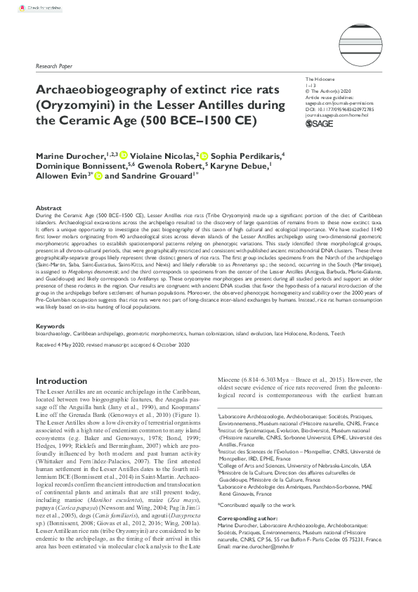 (PDF) Archaeobiogeography of extinct rice rats (Oryzomyini) in the ...