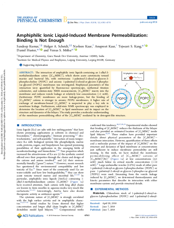 (PDF) Acs.jpcb.8b03733 final print