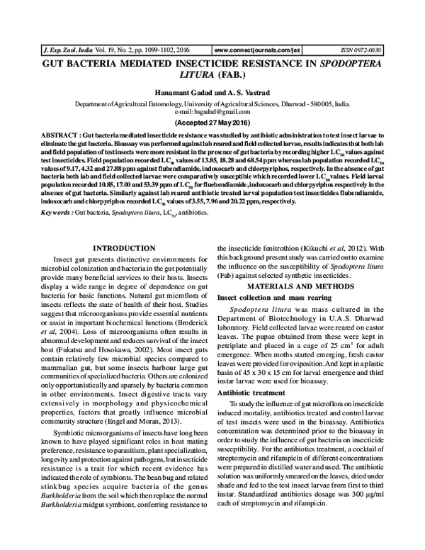 (PDF) GUT BACTERIA MEDIATED INSECTICIDE RESISTANCE IN SPODOPTERA LITURA (FAB