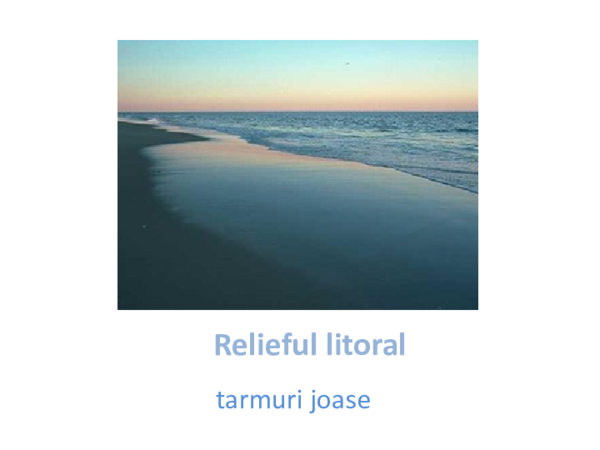(PPT) RELIEFUL LITORAL