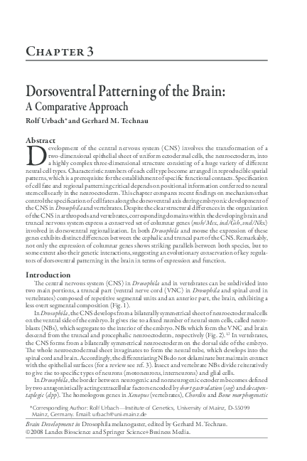 (PDF) Dorsoventral Patterning of the Brain: A Comparative Approach