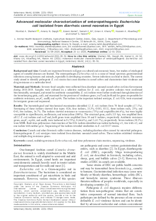(PDF) Advanced molecular characterization of enteropathogenic Escherichia coli isolated from ...
