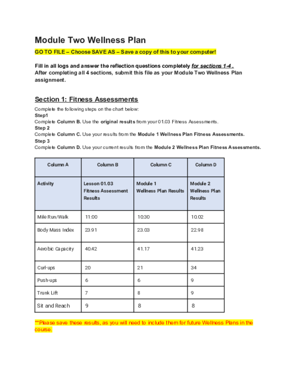(DOC) Copy of Module Two Wellness Plan Document