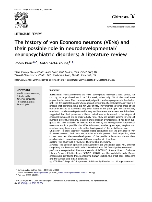 (PDF) The history of von Economo neurons (VENs) and their possible role ...