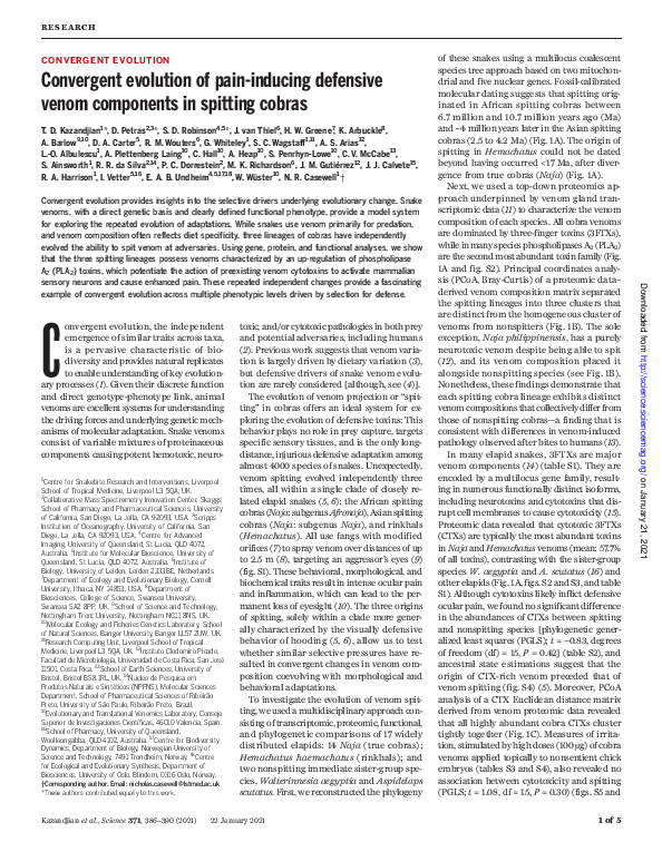 (PDF) Convergent evolution of pain-inducing defensive venom components in spitting cobras
