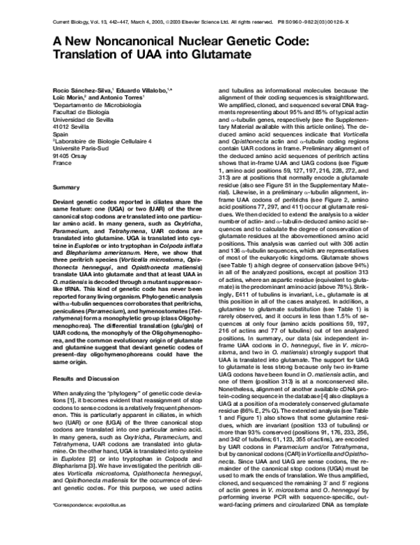 (PDF) A New Noncanonical Nuclear Genetic Code