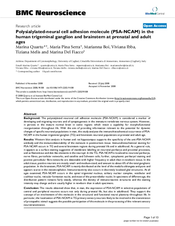 (PDF) Polysialylated-neural cell adhesion molecule (PSA-NCAM) in the ...