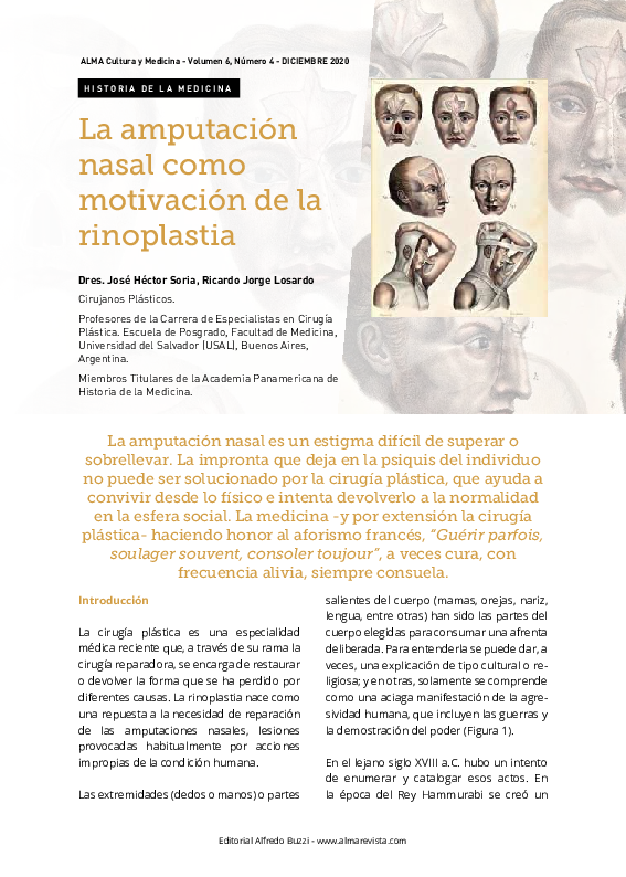 (PDF) La amputación nasal como motivación de la rinoplastia / Nasal ...