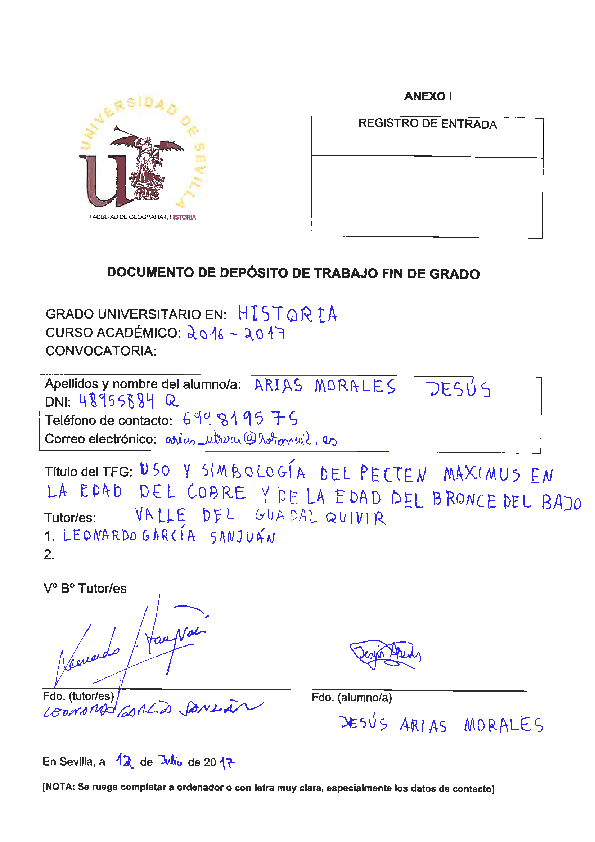 (PDF) TFG Definitivo