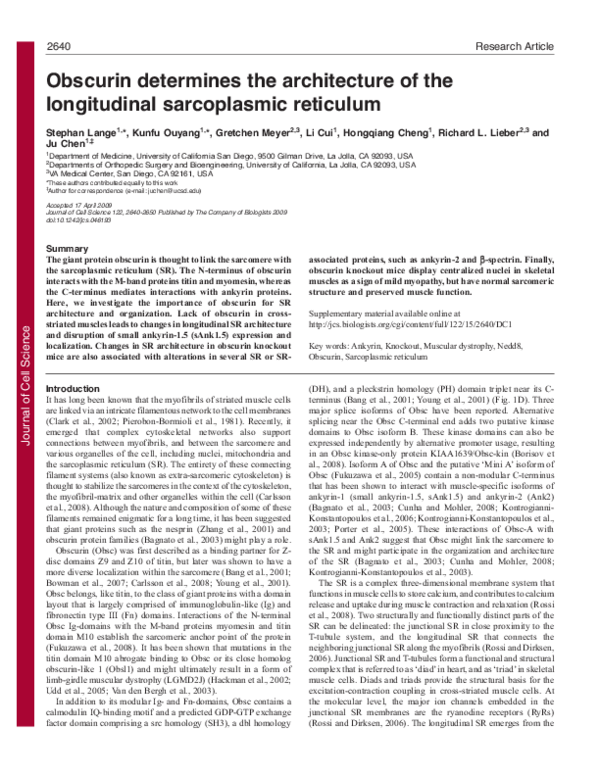 (PDF) Obscurin determines the architecture of the longitudinal ...