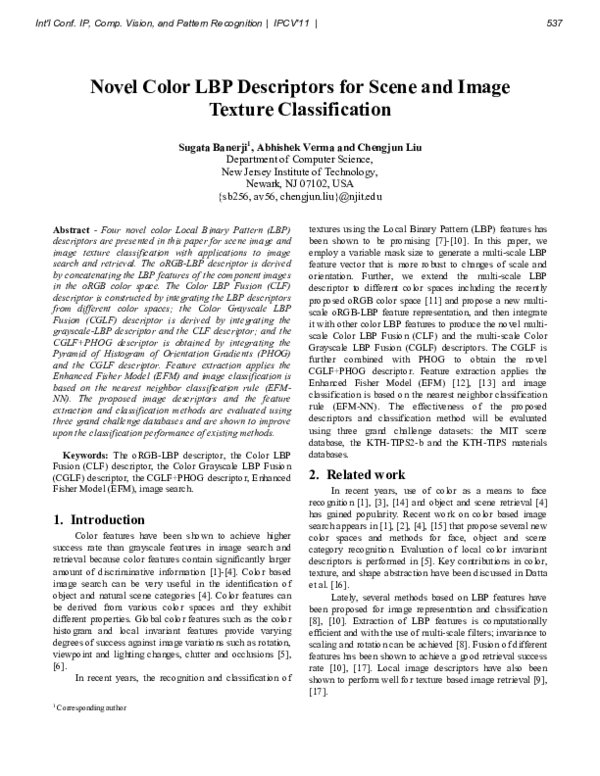 (PDF) Novel Color LBP Descriptors for Scene and Image Texture Classification
