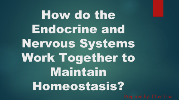 (PPT) How does Endocrine and Nervous System Works Together in ...