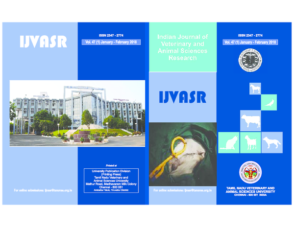 (PDF) Tube cystostomy for surgical management of obstructive ...