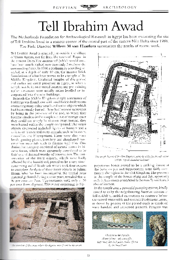 (PDF) EGYPTIAN ARCHAEOLOGY Tell IbrahimAwad The Netherlands Foundation ...