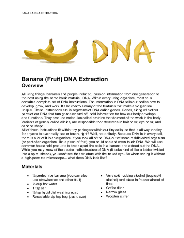 (DOC) Banana (Fruit) DNA Extraction Overview