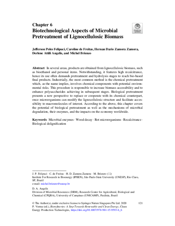 (PDF) Biotechnological aspects of microbial pretreatment of ...