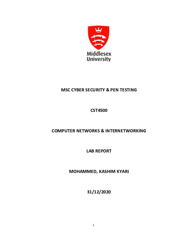 Pdf Computer Networks Lab Report