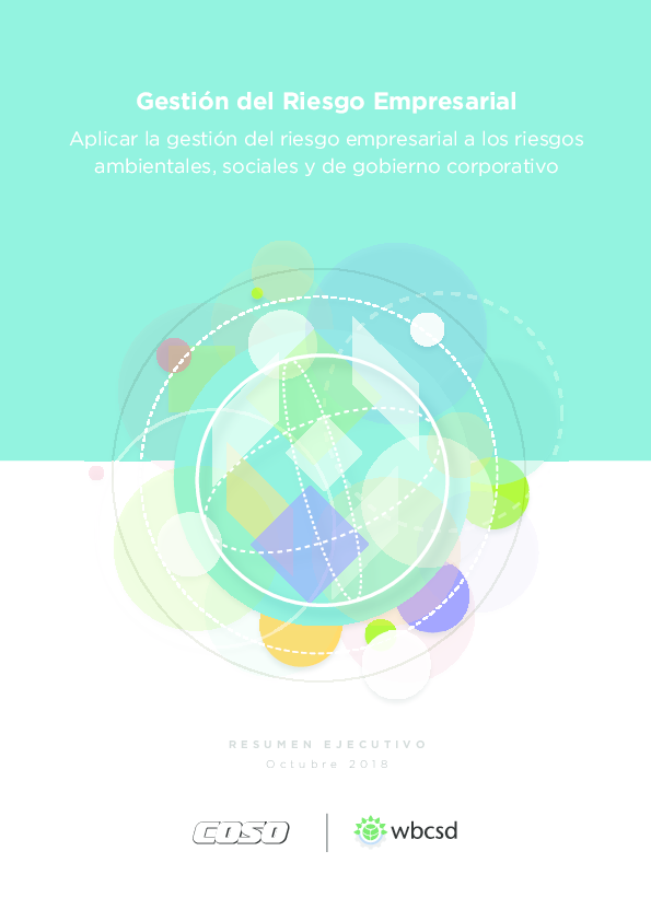 (PDF) Gestión del Riesgo Empresarial Aplicar la gestión del riesgo ...