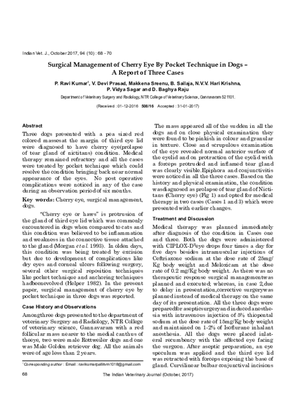 (PDF) Surgical Management of Cherry Eye By Pocket Technique in Dogs - A ...