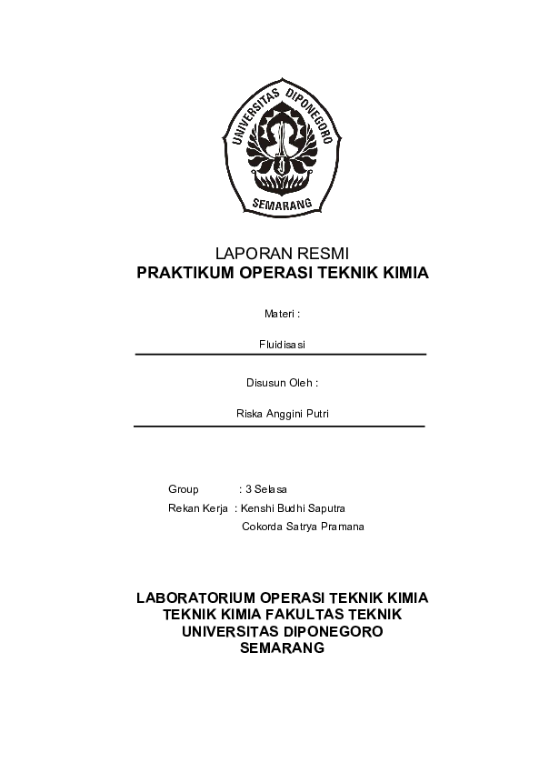 (PDF) ACC FLUIDISASI LAPORAN RESMI PRAKTIKUM LABORATORIUM OPERASI ...