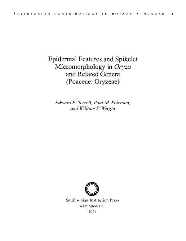 (PDF) Epidermal features and spikelet micromorphology in Oryza and ...