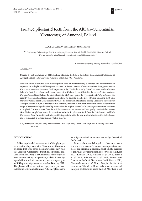 (PDF) Isolated pliosaurid teeth from the Albian–Cenomanian (Cretaceous ...