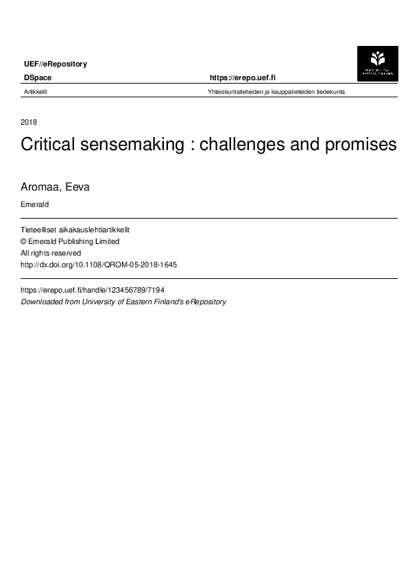 (PDF) Critical sensemaking: challenges and promises
