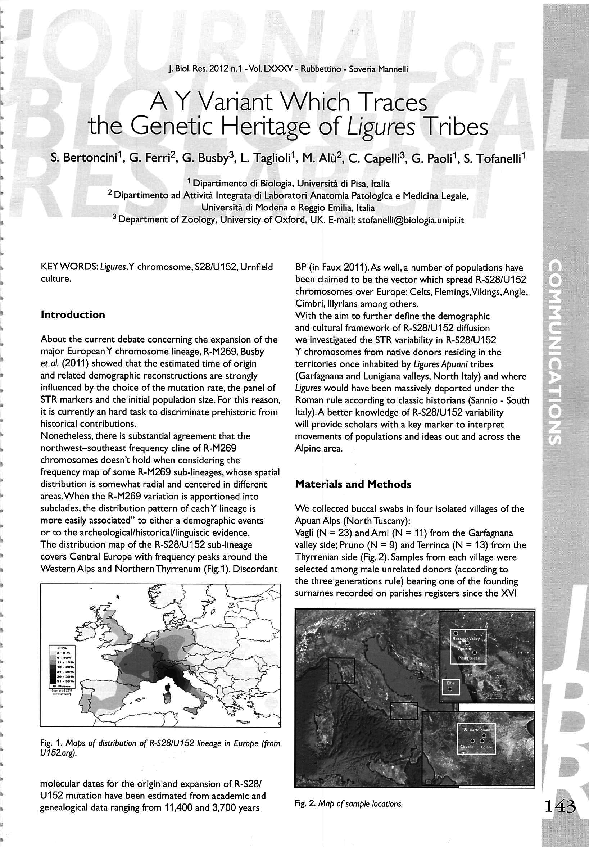 (PDF) A Y variant which traces the genetic heritage of ligures tribes