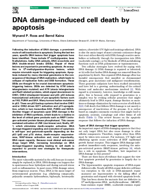 (PDF) DNA damage-induced cell death by apoptosis