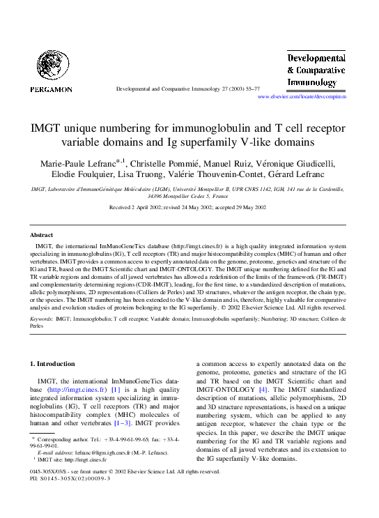 (PDF) IMGT unique numbering for immunoglobulin and T cell receptor variable domains and Ig ...