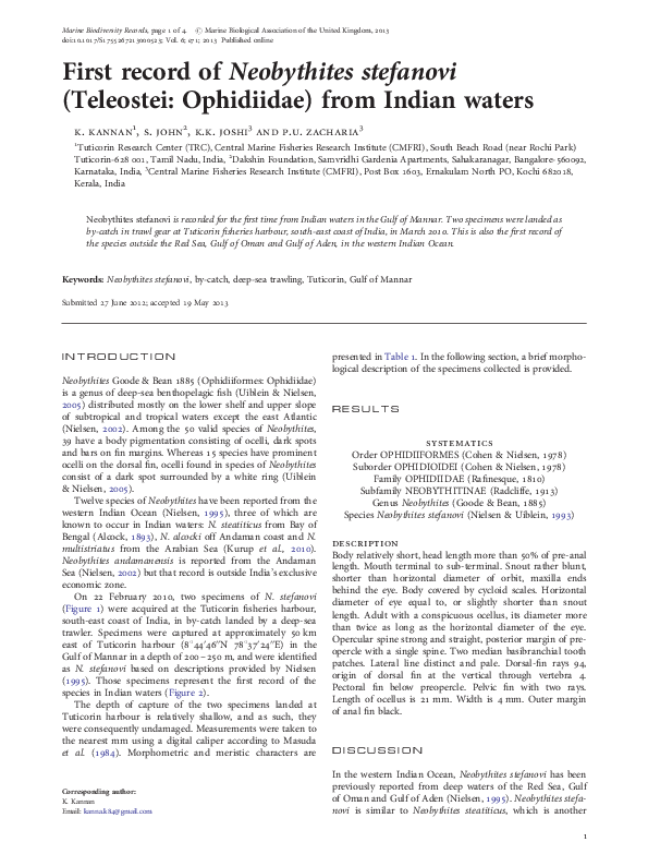(PDF) First record of Neobythites stefanovi (Teleostei: Ophidiidae ...