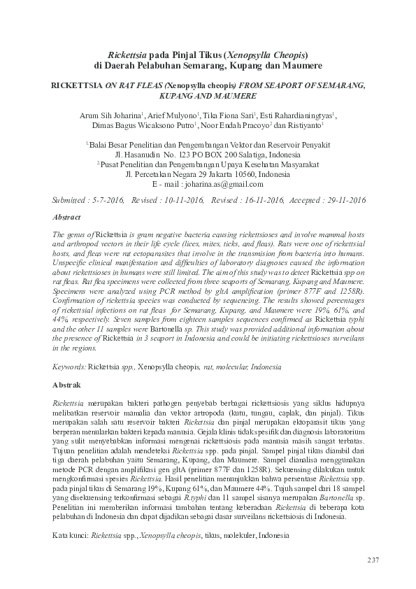 (PDF) Rickettsia pada Pinjal Tikus (Xenopsylla Cheopis) di Daerah ...