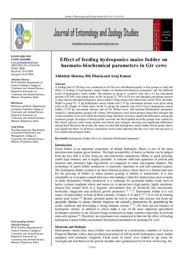 (PDF) Effect of feeding hydroponics maize fodder on haemato-biochemical ...
