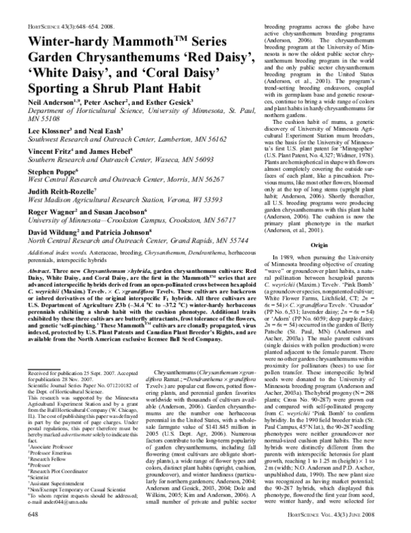 (PDF) Winter-hardy Mammoth™ Series Garden Chrysanthemums ‘Red Daisy ...