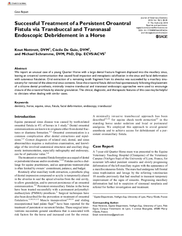 (PDF) Successful Treatment of a Persistent Oroantral Fistula via ...
