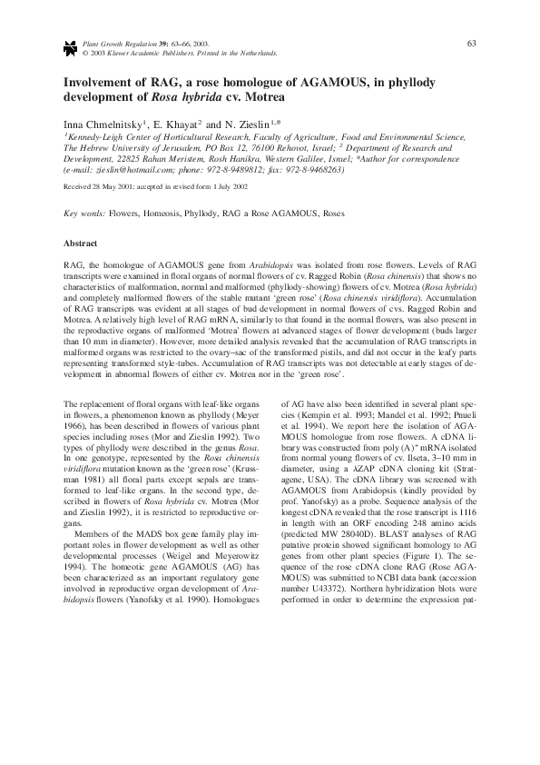 (PDF) Involvement of RAG, a rose homologue of AGAMOUS, in phyllody ...