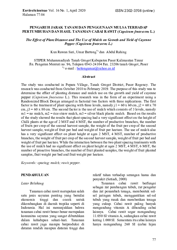 (PDF) Pengaruh Jarak Tanam Dan Penggunaan Mulsa Terhadap Pertumbuhan Dan Hasil Tanaman Cabai ...