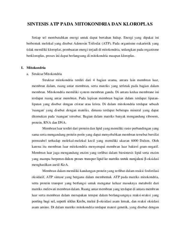 (PDF) SINTESIS ATP PADA MITOKONDRIA DAN KLOROPLAS