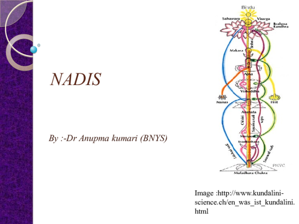 (PPT) Nadi