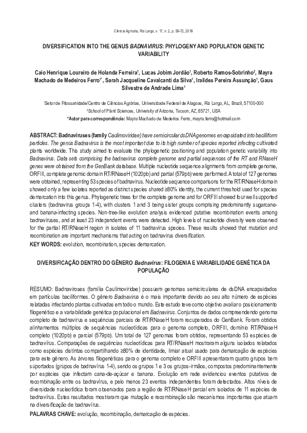 (PDF) DIVERSIFICATION INTO THE GENUS Badnavirus: PHYLOGENY AND ...